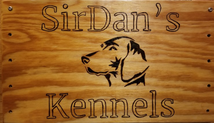 Breeder of top quality German Shorthaired Pointers, Pointadors, and ...